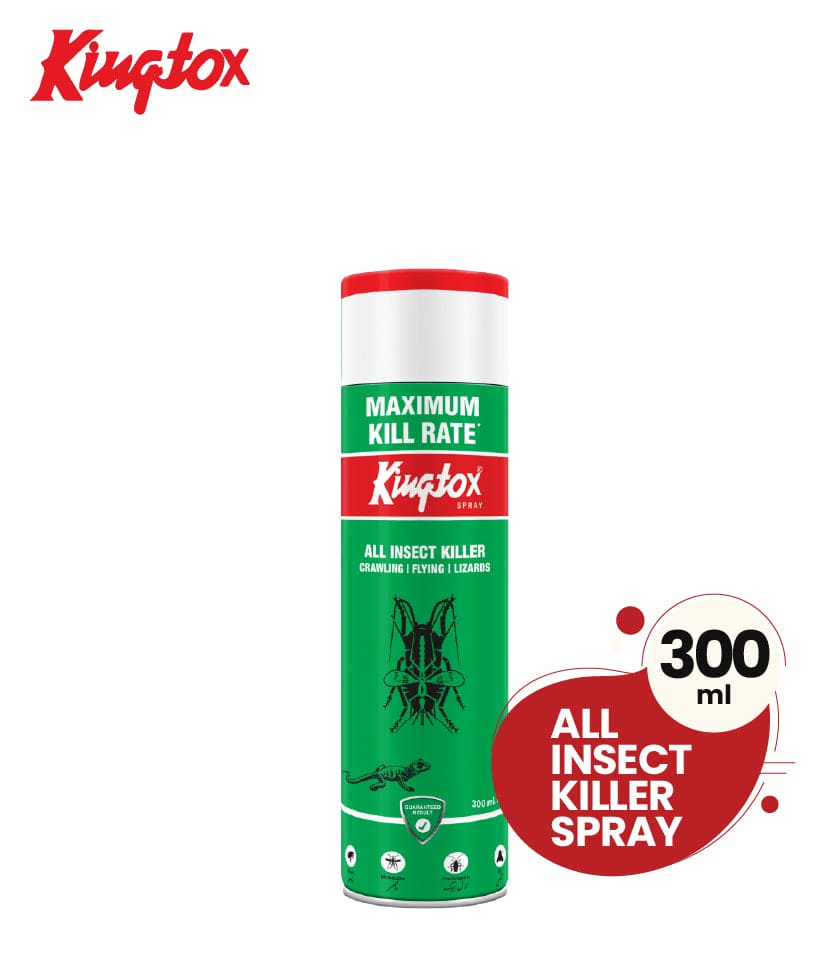 Kingtox All Insect Killer Spray 300ml– jebchaho