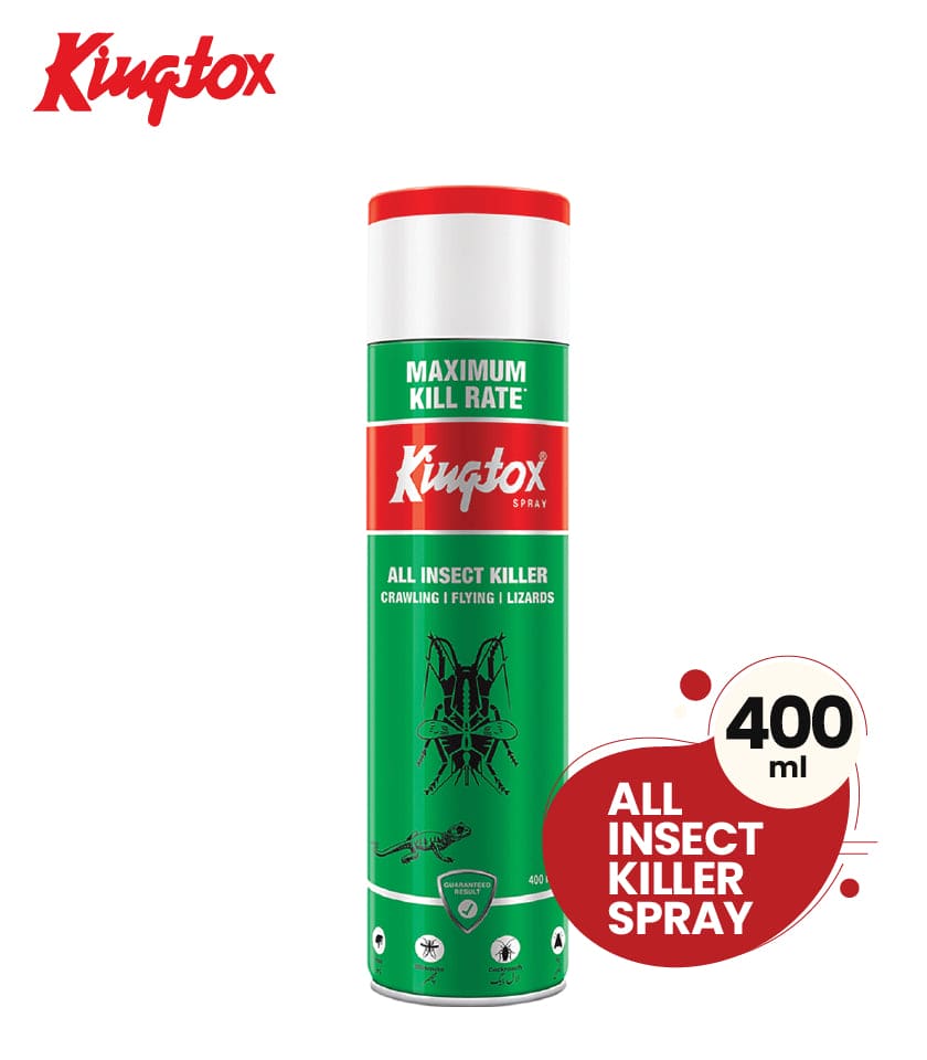 Kingtox All Insect Killer Spray 400ml– jebchaho