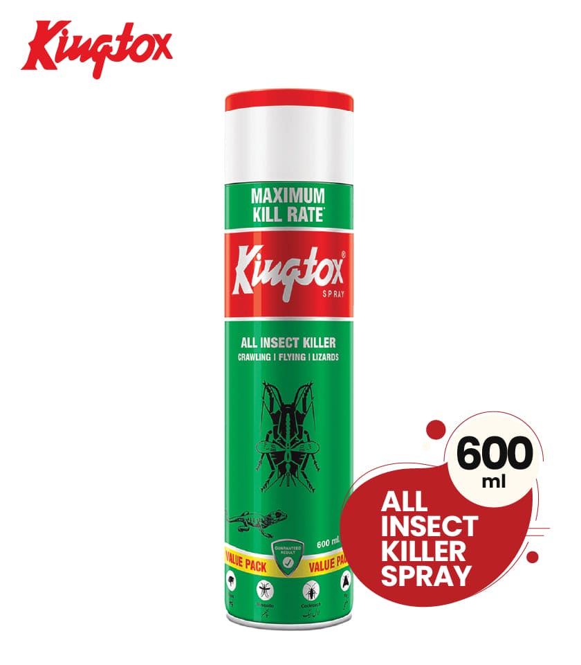 Kingtox All Insect Killer Spray 600ml– jebchaho