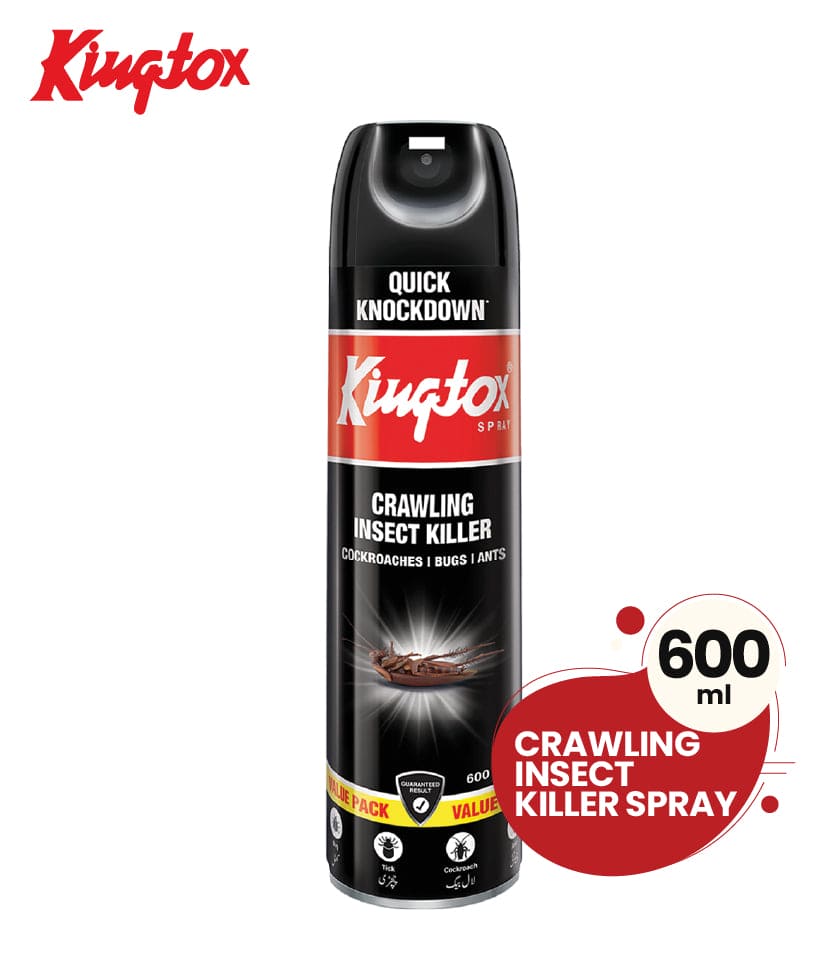 Kingtox Crawling Insect Killer Spray 600ml– jebchaho